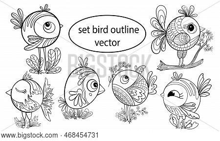 Set Birds Outline Vector & Photo (Free Trial) | Bigstock