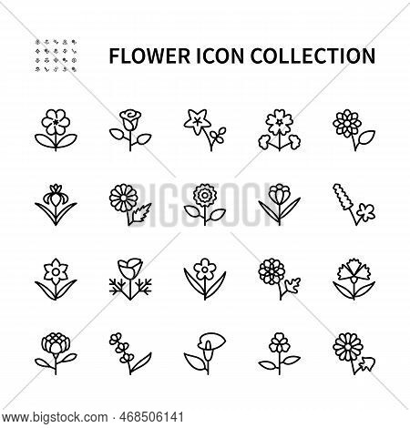 Flowers Vector Line Vector & Photo (Free Trial) | Bigstock