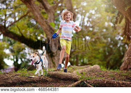Child Dog Walk Summer Image & Photo (Free Trial) | Bigstock