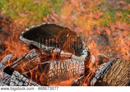 Fire Burning Large Image & Photo (Free Trial) | Bigstock