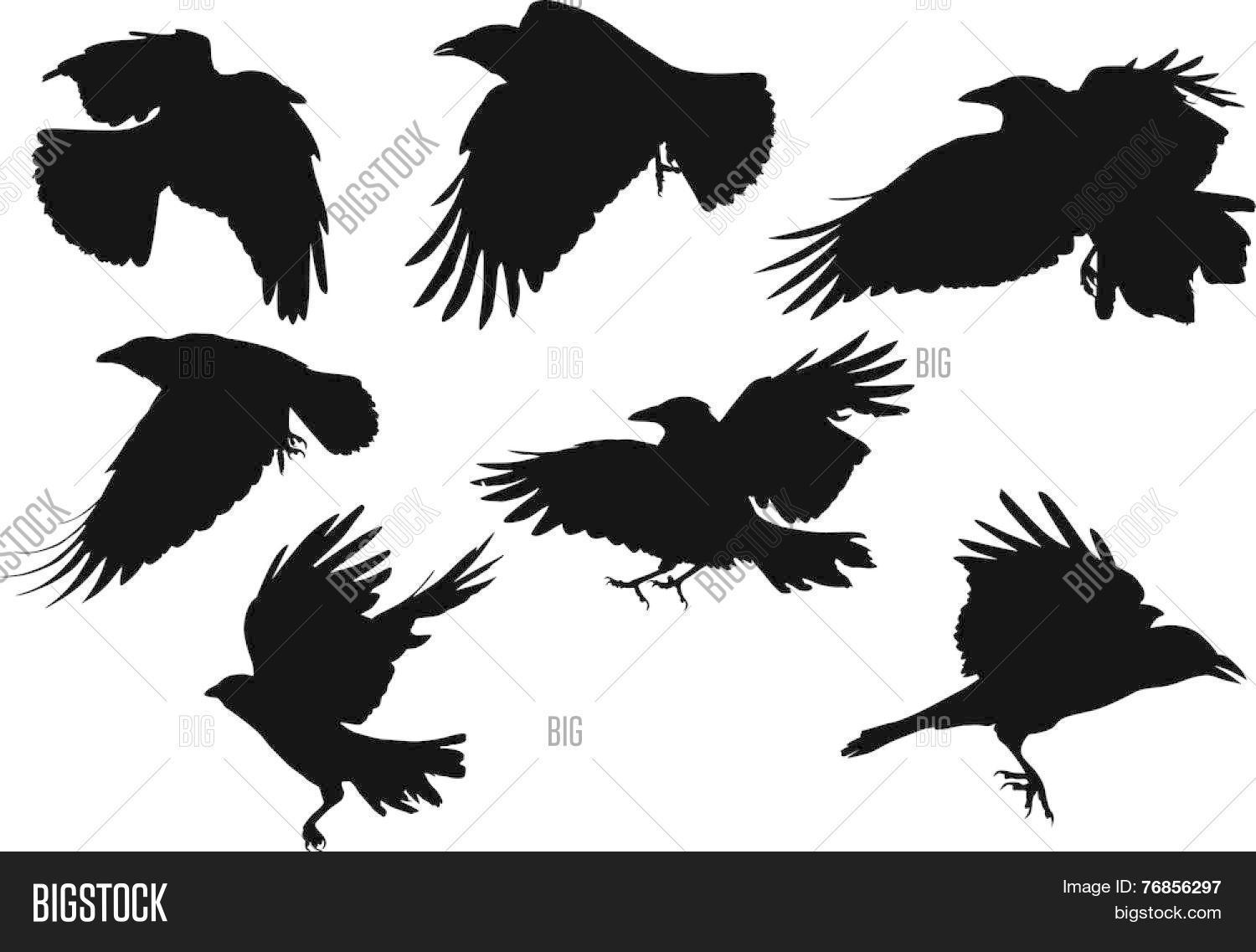 Illustration Set Vector & Photo (Free Trial) | Bigstock