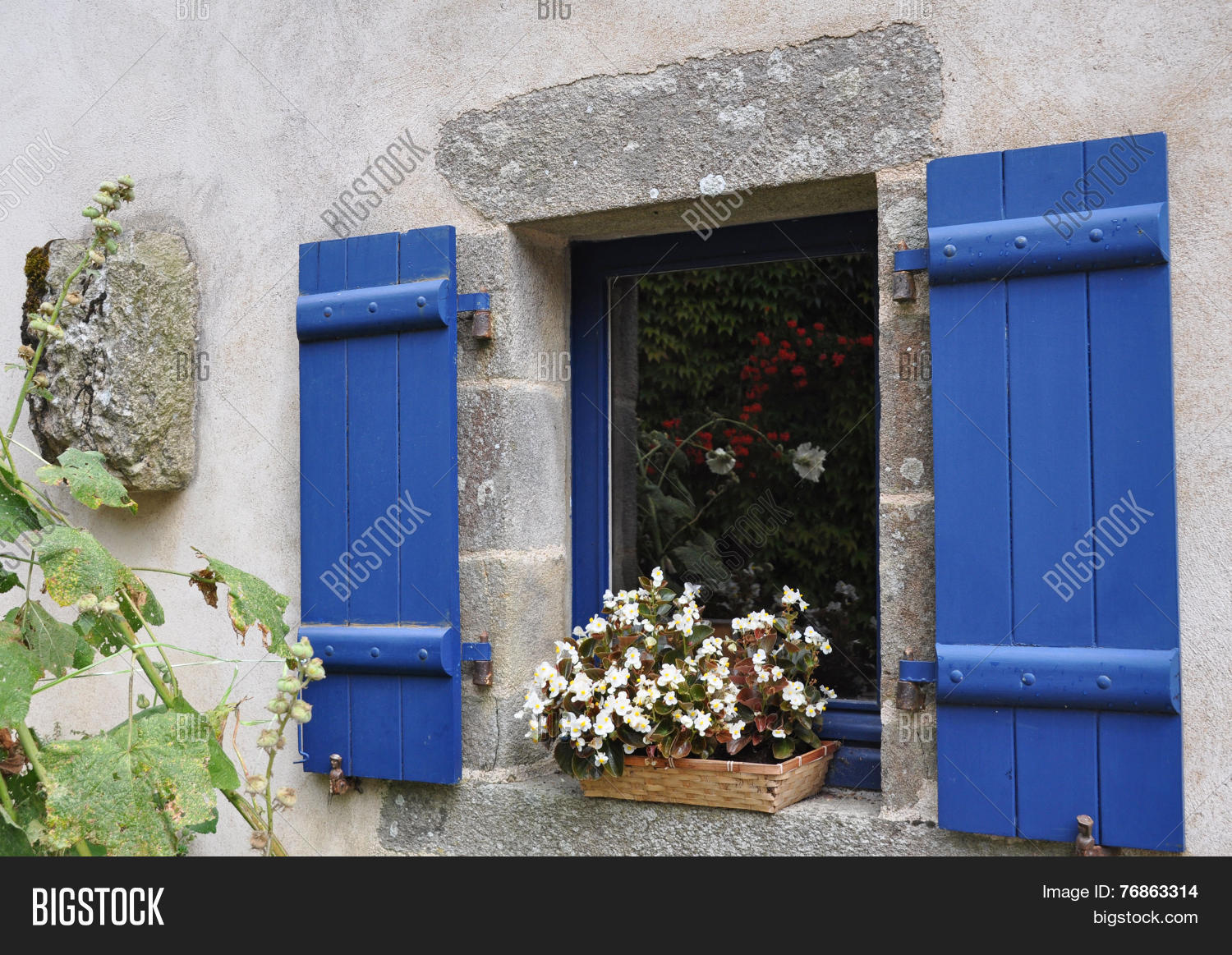 Pretty Window Image & Photo (Free Trial) | Bigstock