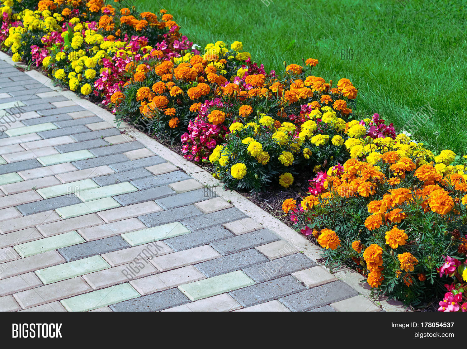 Flowerbed Different Image & Photo (Free Trial) | Bigstock