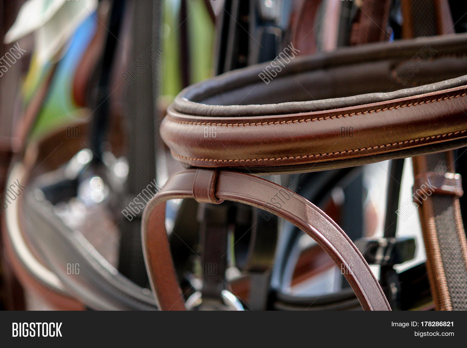 Close Horse Bridles On Image & Photo (Free Trial) | Bigstock