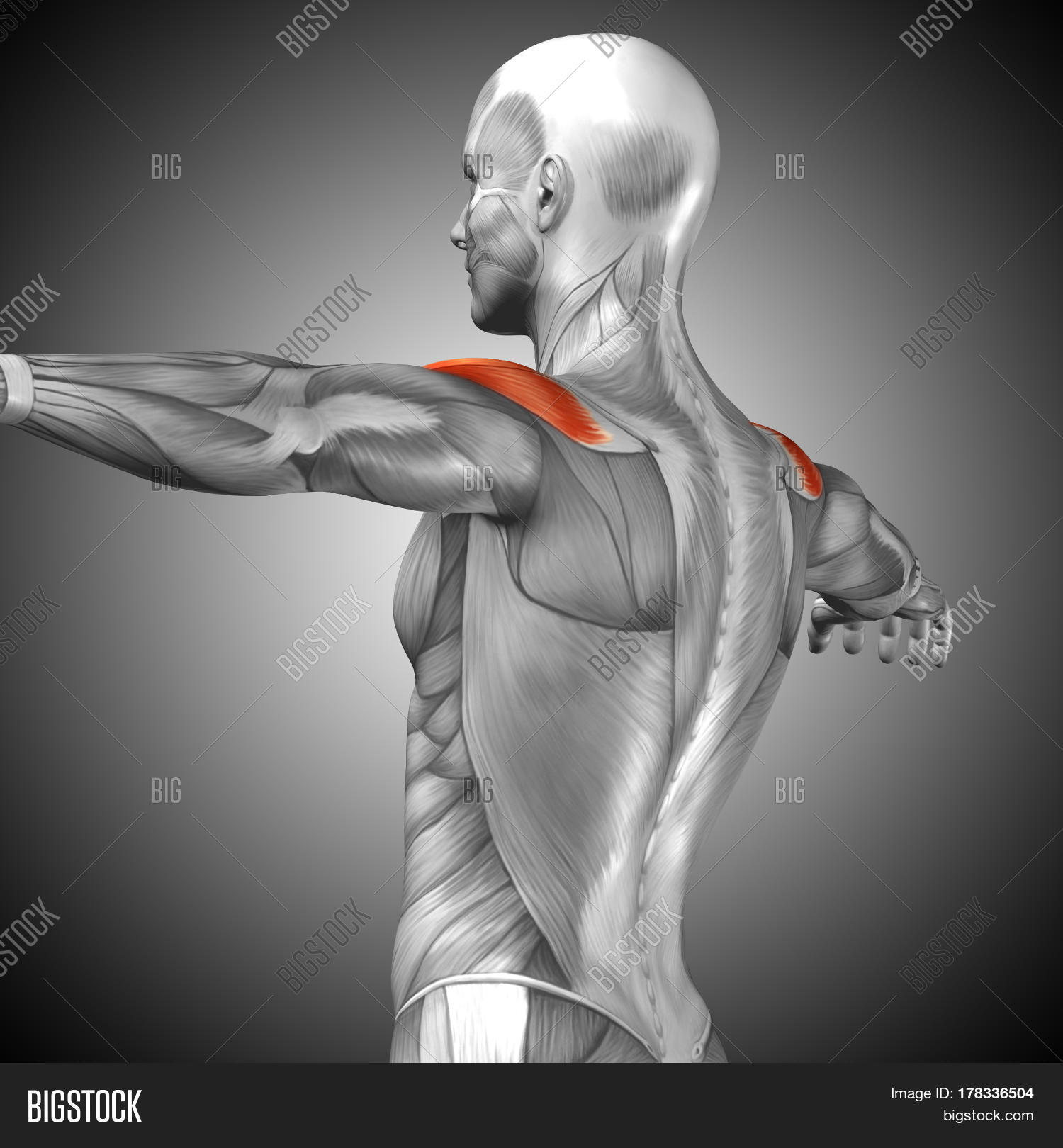 Concept Conceptual 3D Image & Photo (Free Trial) | Bigstock