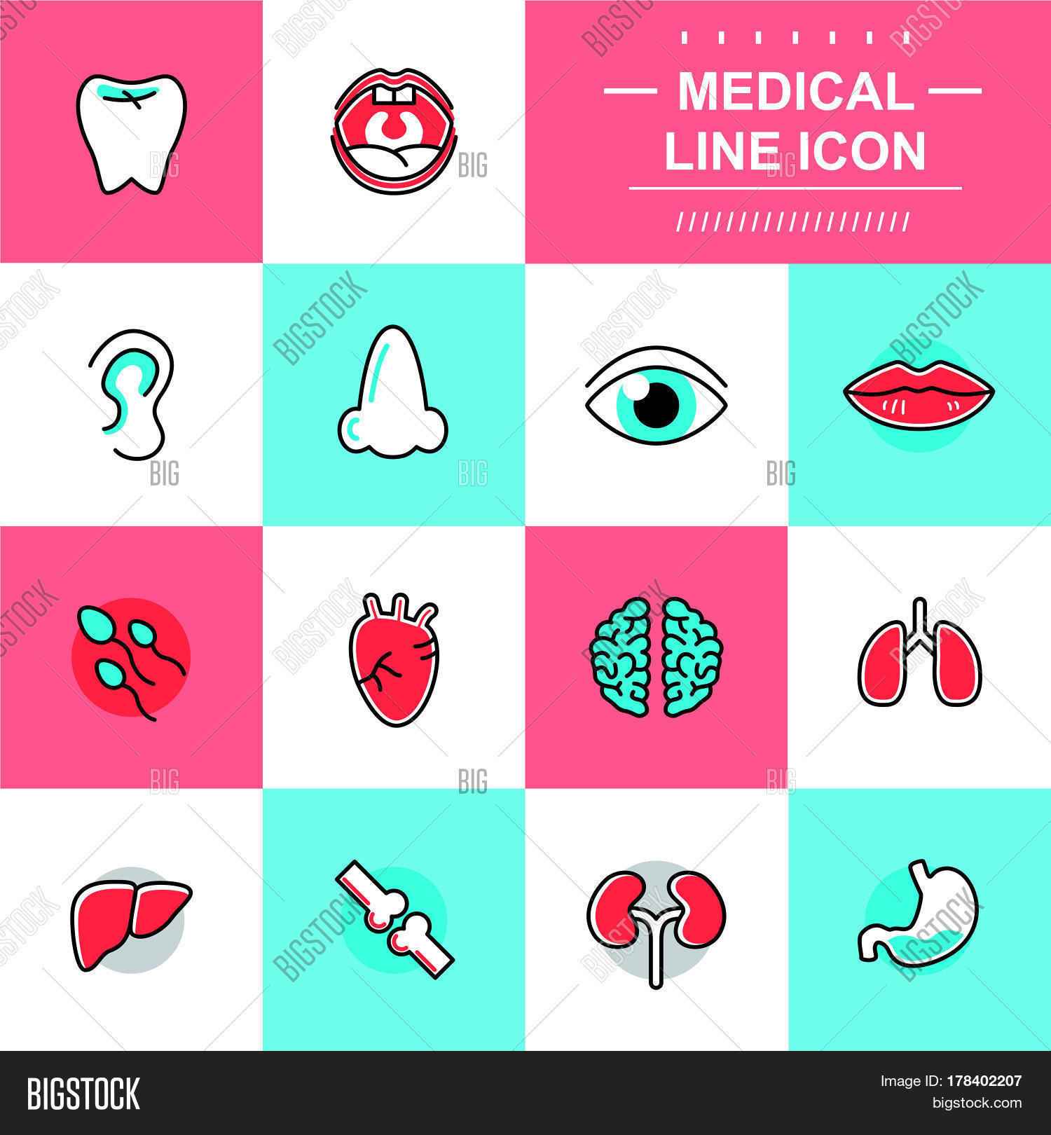 Medical Thin Line Vector & Photo (Free Trial) | Bigstock