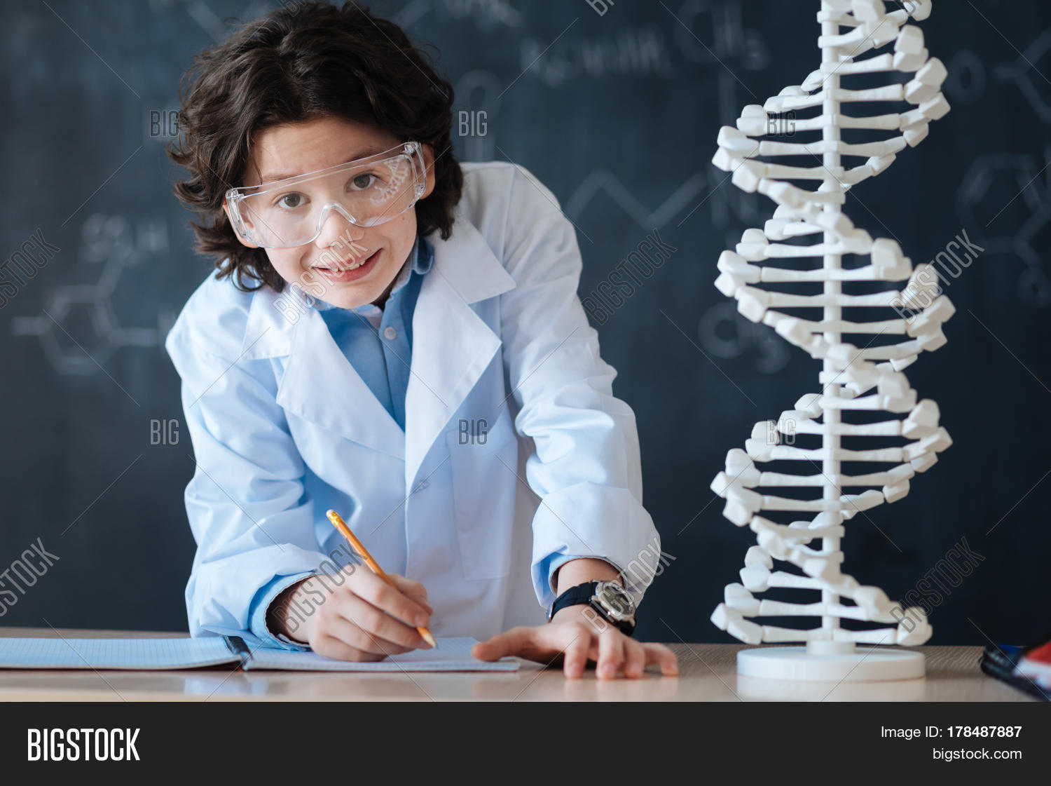 Setting Pattern Image & Photo (Free Trial) | Bigstock