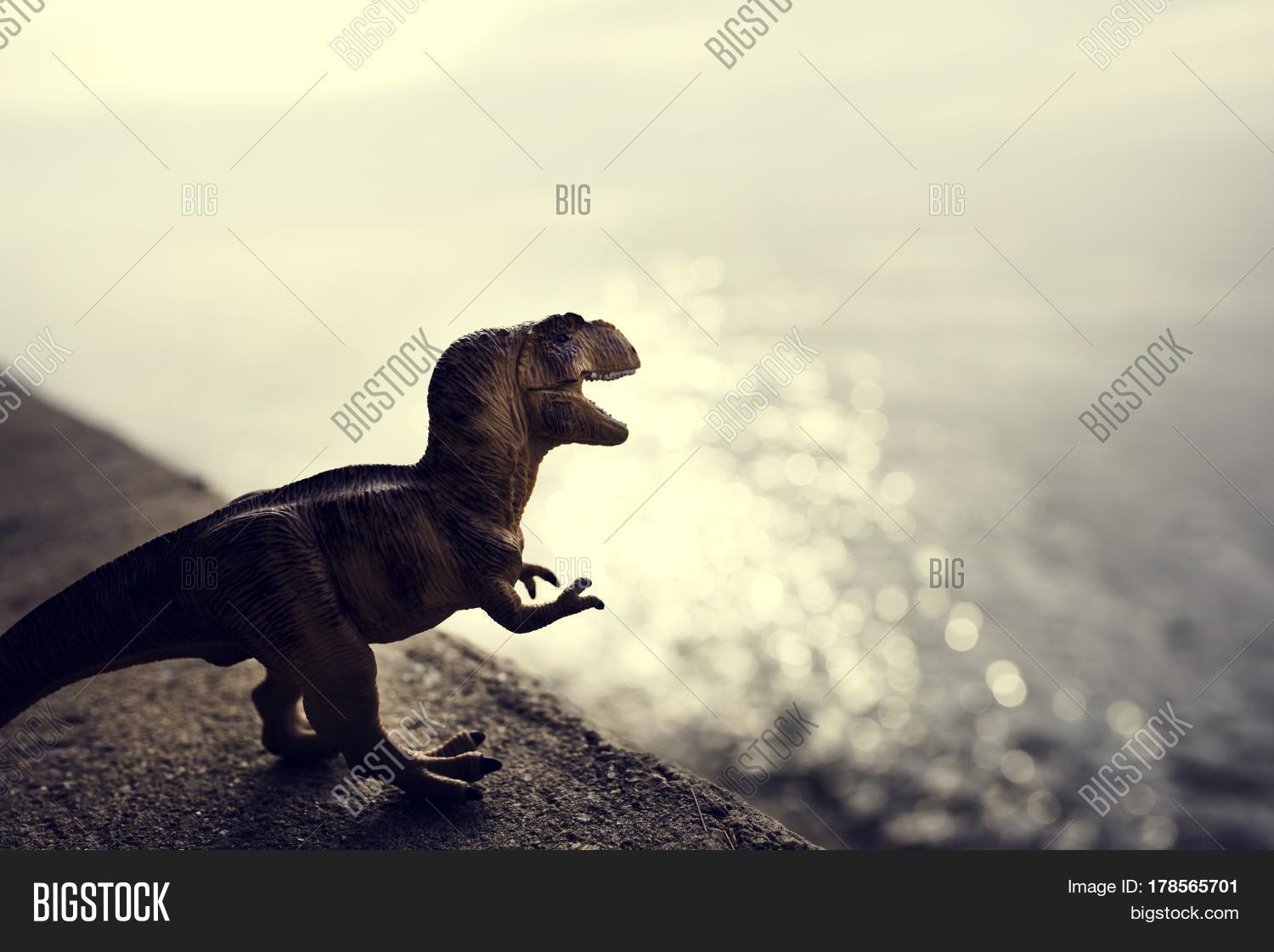 Tyrannosaurus Rex Image & Photo (Free Trial) | Bigstock