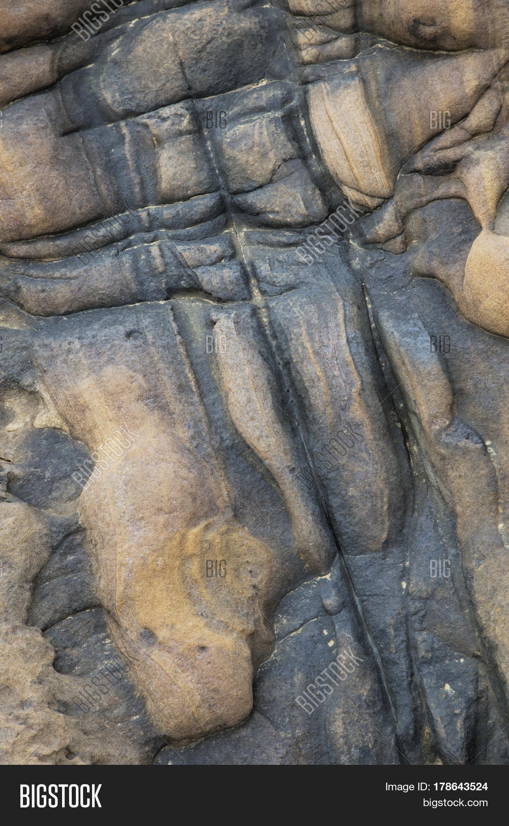 Patterns Limestone Image & Photo (Free Trial) | Bigstock