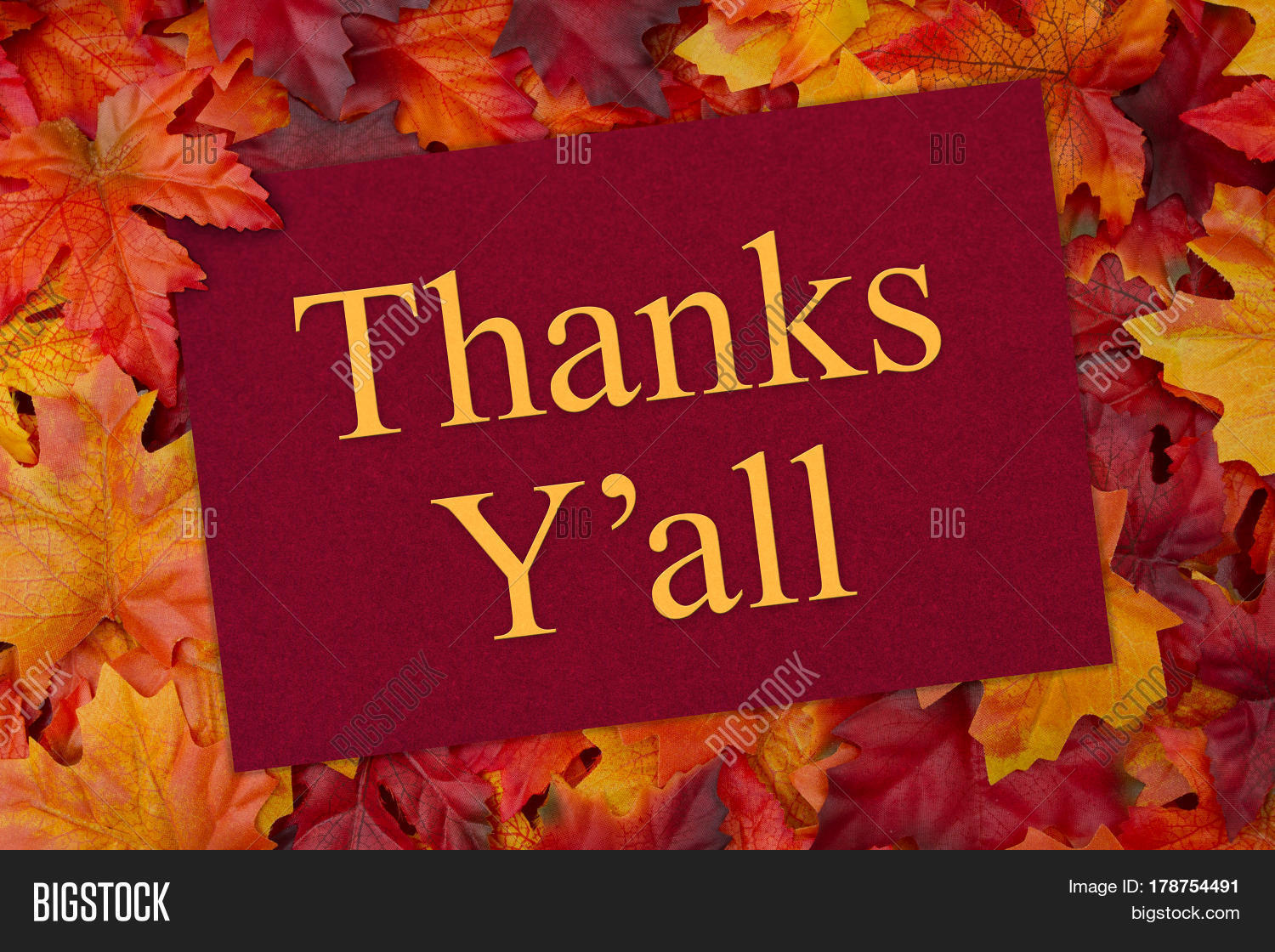 Thank You Greeting Image & Photo (Free Trial) | Bigstock