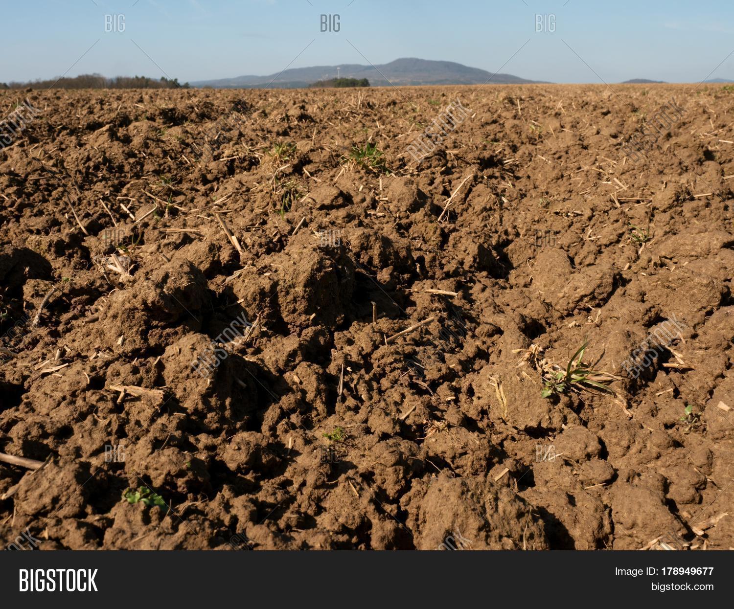 Dusty Clay On Field. Image & Photo (Free Trial) | Bigstock