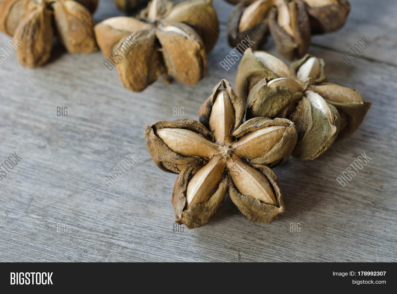 Sacha Inchi Seed Herbs Image & Photo (Free Trial) | Bigstock