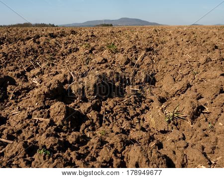 Dusty Clay On Field. Image & Photo (Free Trial) | Bigstock