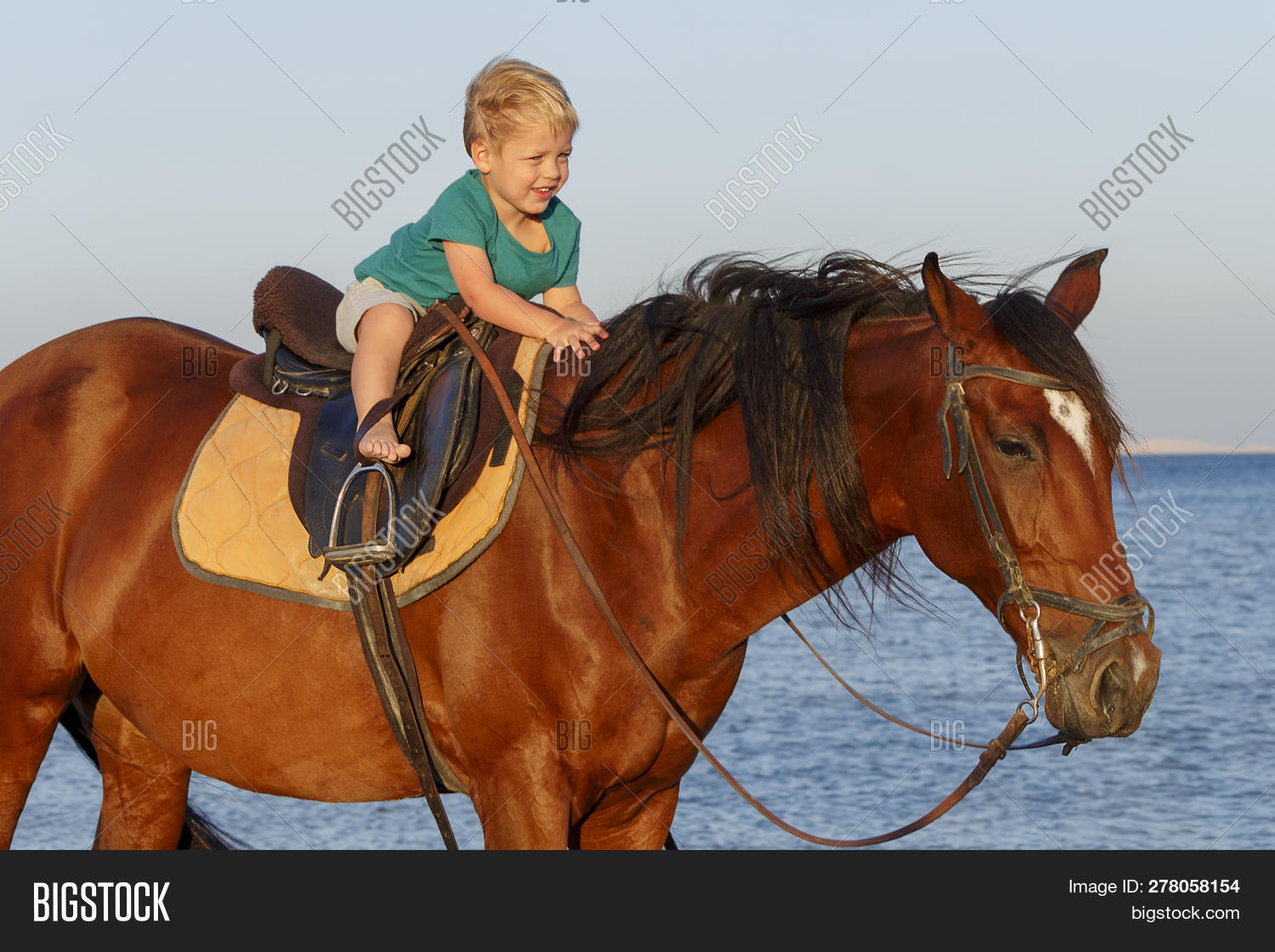 Cute Little Boy Rides Image & Photo (Free Trial) | Bigstock