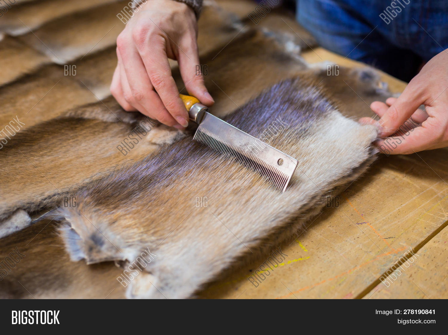 Professional Male Image & Photo (Free Trial) | Bigstock