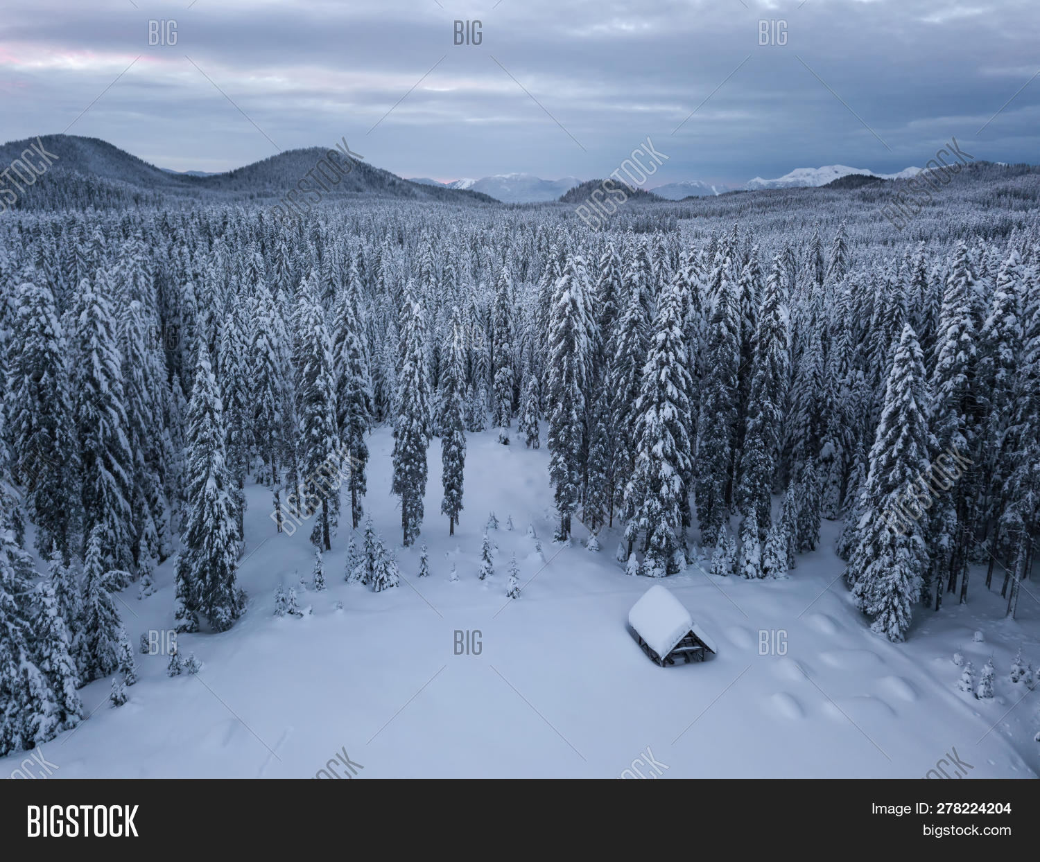 Snow Covered Winter Image & Photo (Free Trial) | Bigstock