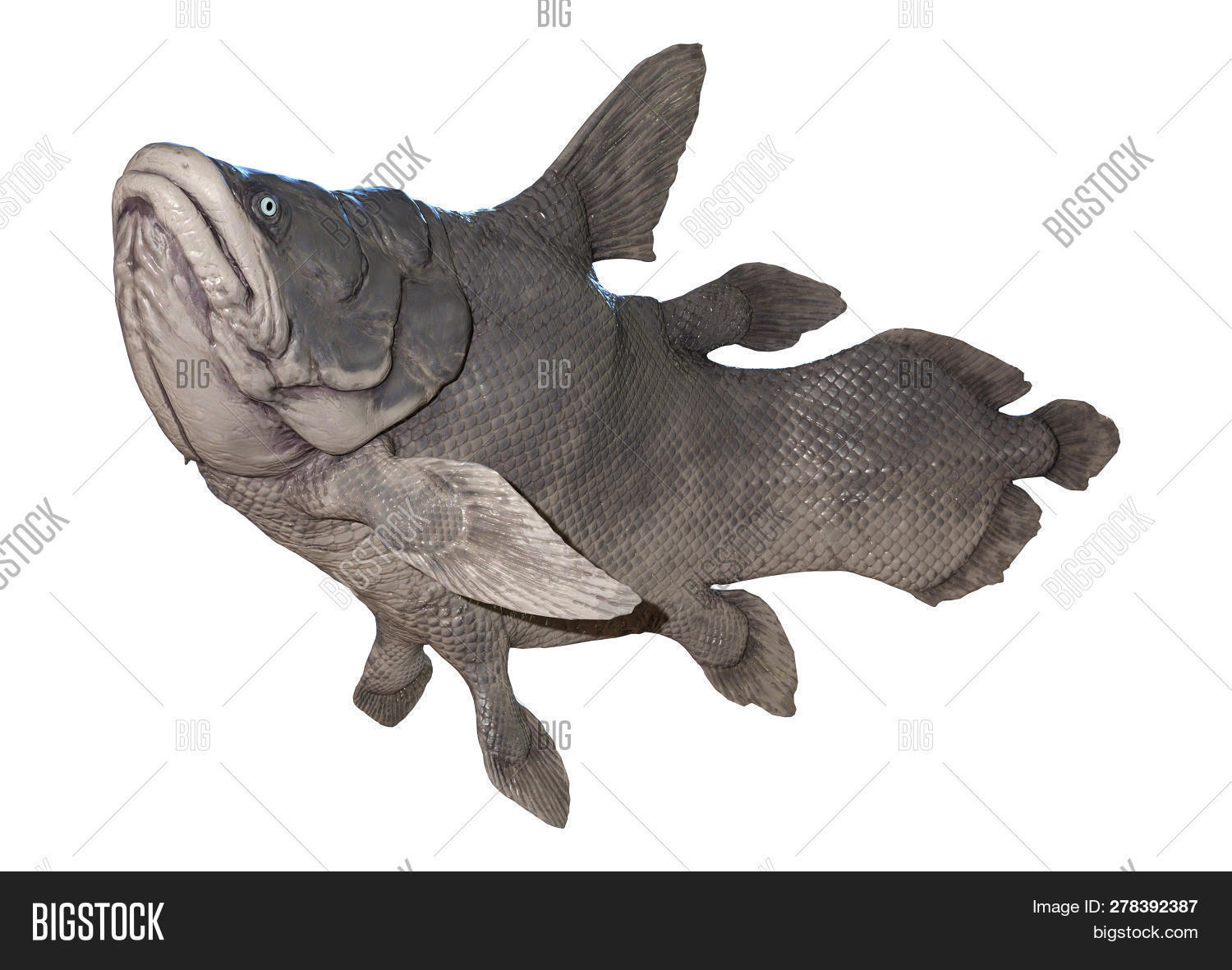 3D Rendering Mawsonia Image & Photo (Free Trial) | Bigstock