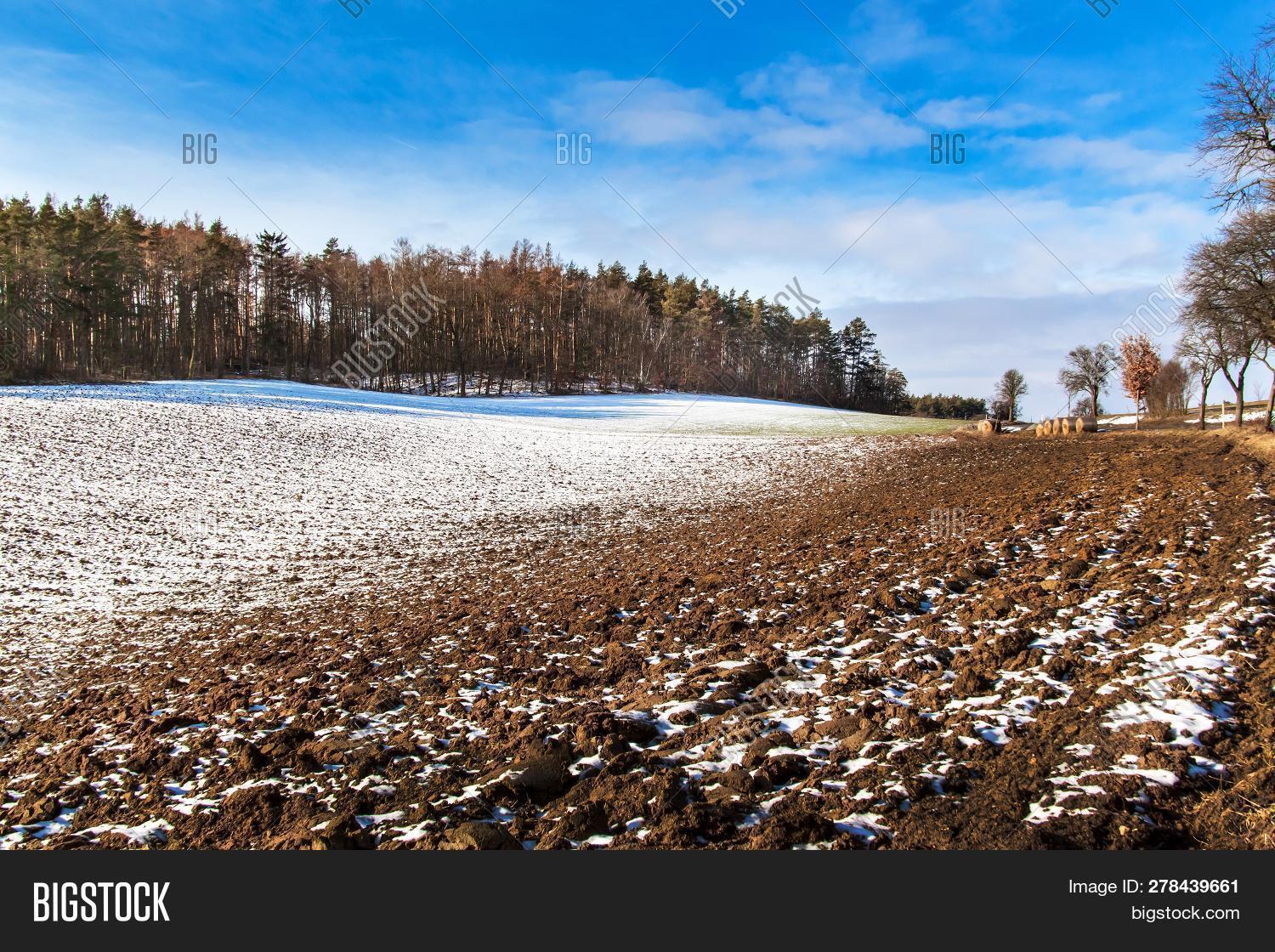 Spring Thaw Forest. Image & Photo (Free Trial) | Bigstock