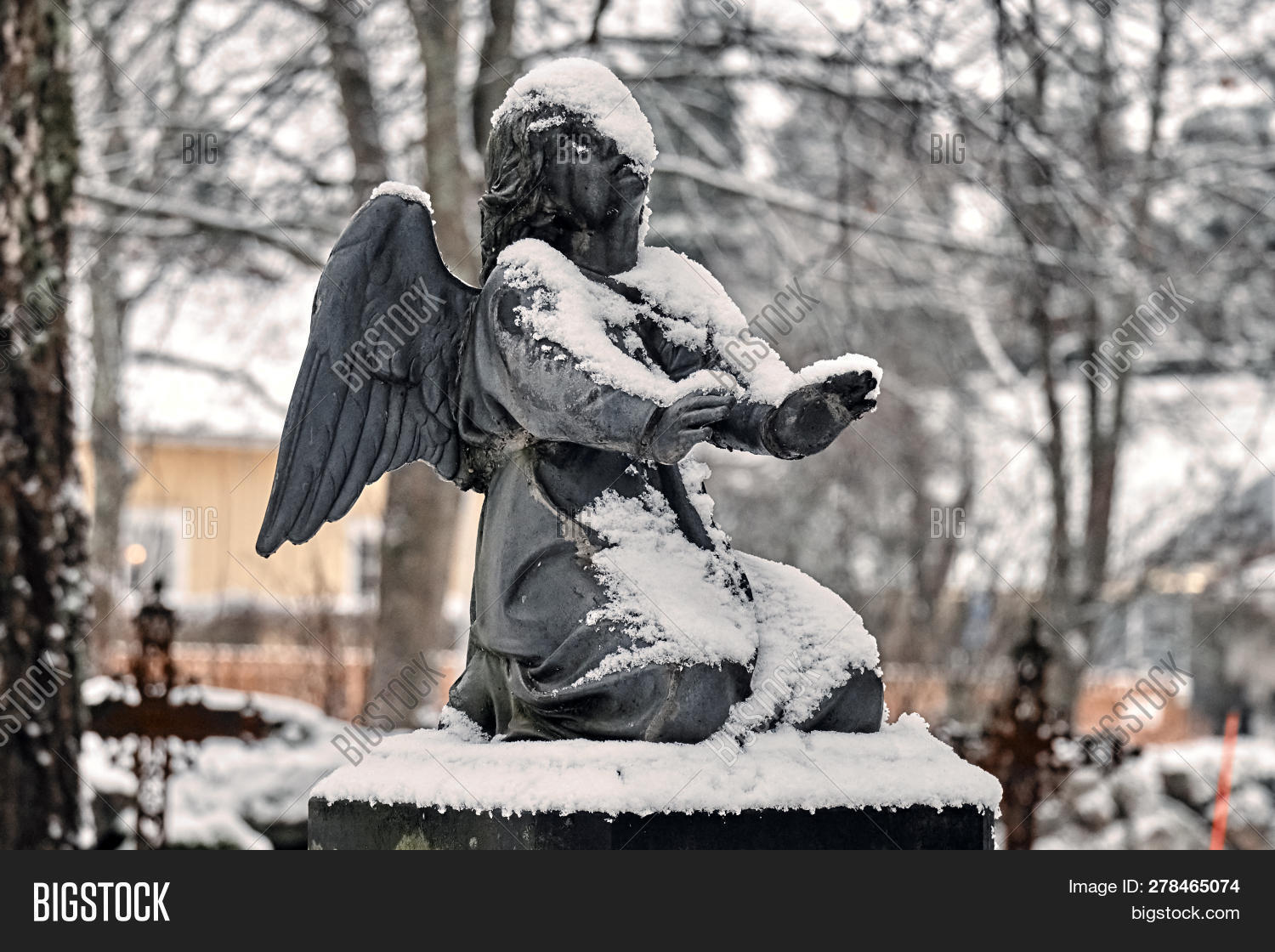 Frozen Angel Covered Image & Photo (Free Trial) | Bigstock
