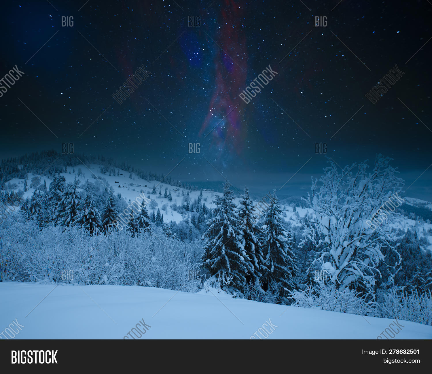 Snowy Meadow Spruce Image & Photo (Free Trial) | Bigstock
