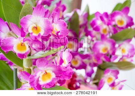 Beautiful Close Fresh Image & Photo (Free Trial) | Bigstock