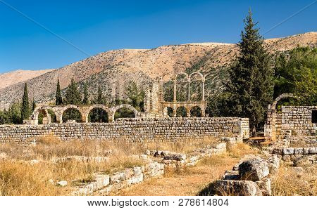 Gerrha Images, Illustrations & Vectors (Free) - Bigstock