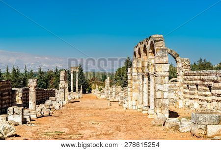 Gerrha Images, Illustrations & Vectors (Free) - Bigstock