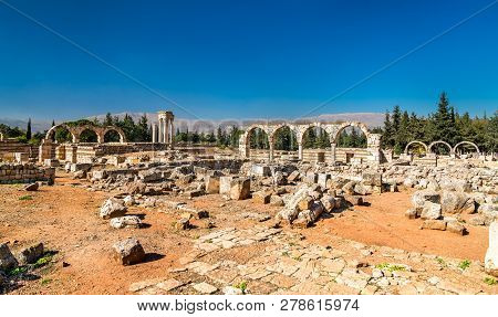 Gerrha Images, Illustrations & Vectors (Free) - Bigstock