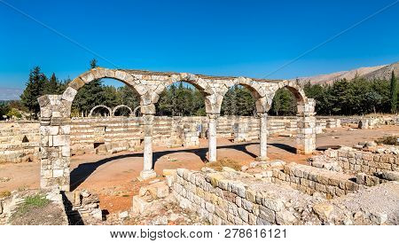 Gerrha Images, Illustrations & Vectors (Free) - Bigstock