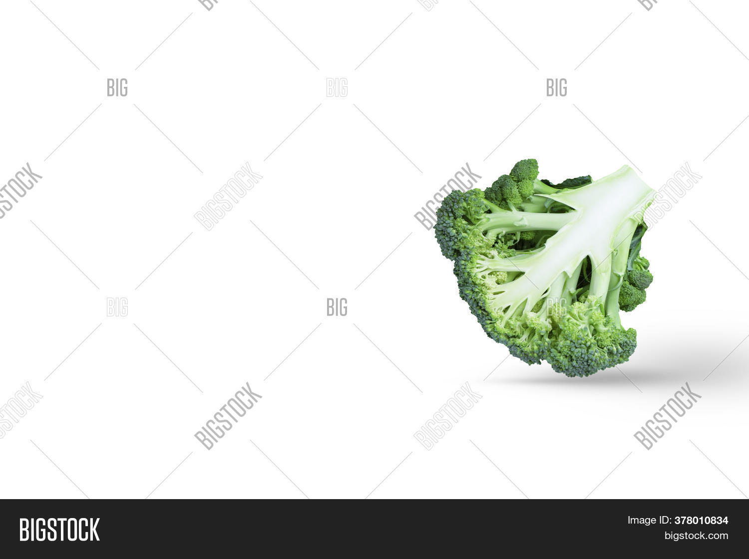Broccoli Head Cut Half Image & Photo (Free Trial) | Bigstock