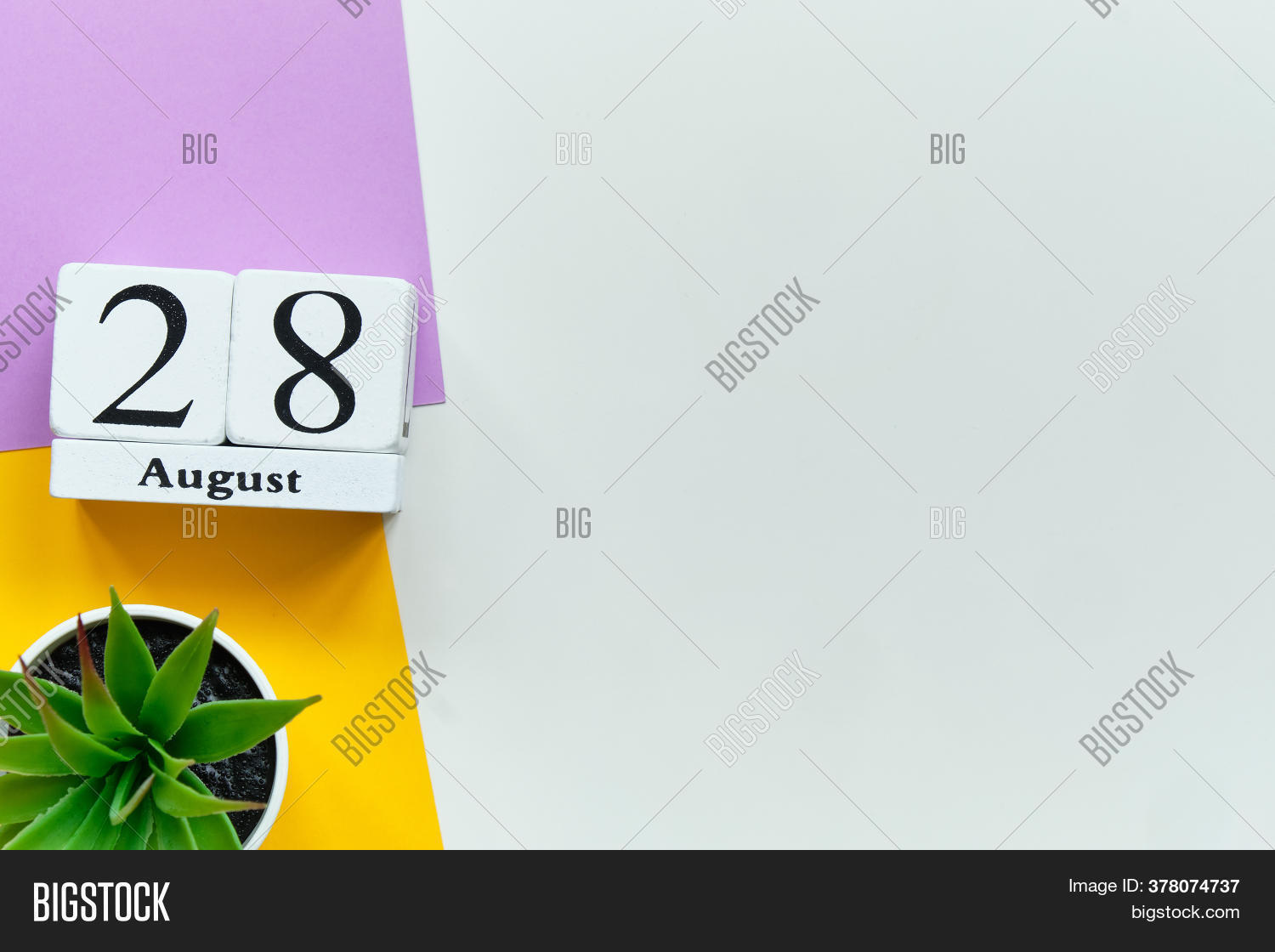 28th August - Twenty- Image & Photo (Free Trial) | Bigstock