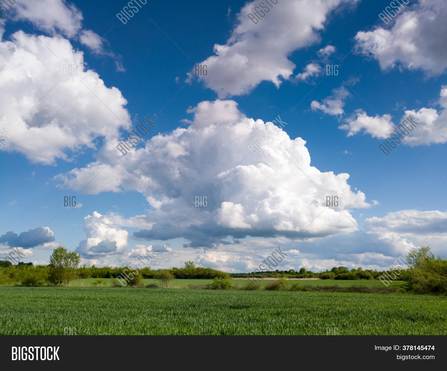 Spring Crops Image & Photo (Free Trial) | Bigstock