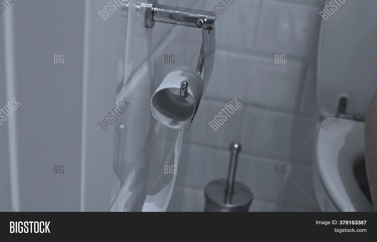 Paper Roll Toilet Run Image & Photo (Free Trial) | Bigstock