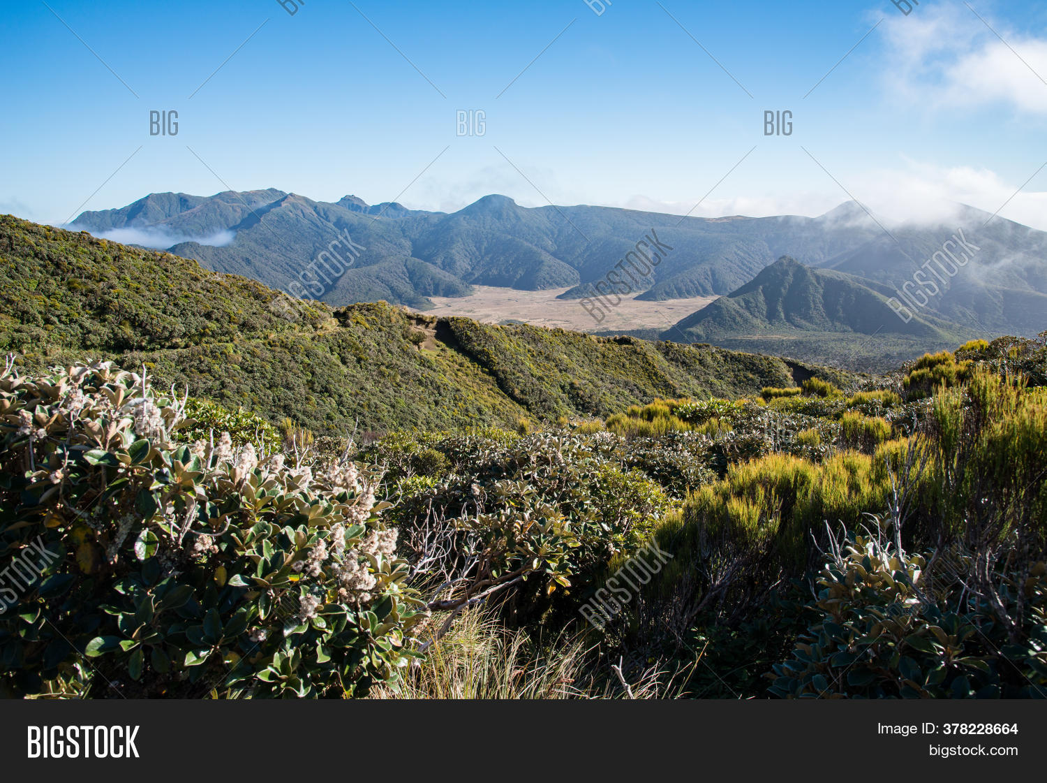 Beautiful View Pouakai Image & Photo (Free Trial) | Bigstock