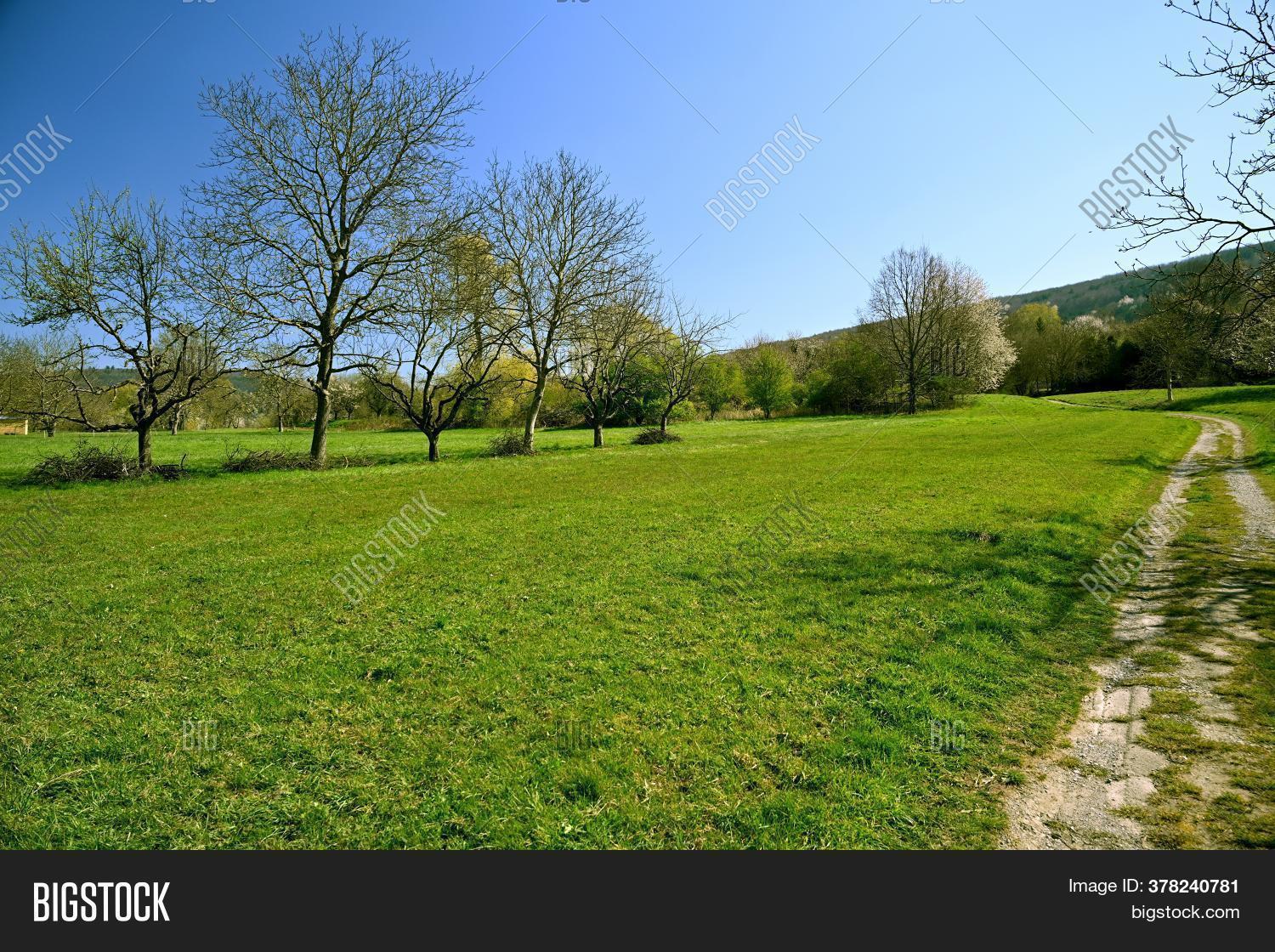 Small Lane Going Image & Photo (Free Trial) | Bigstock