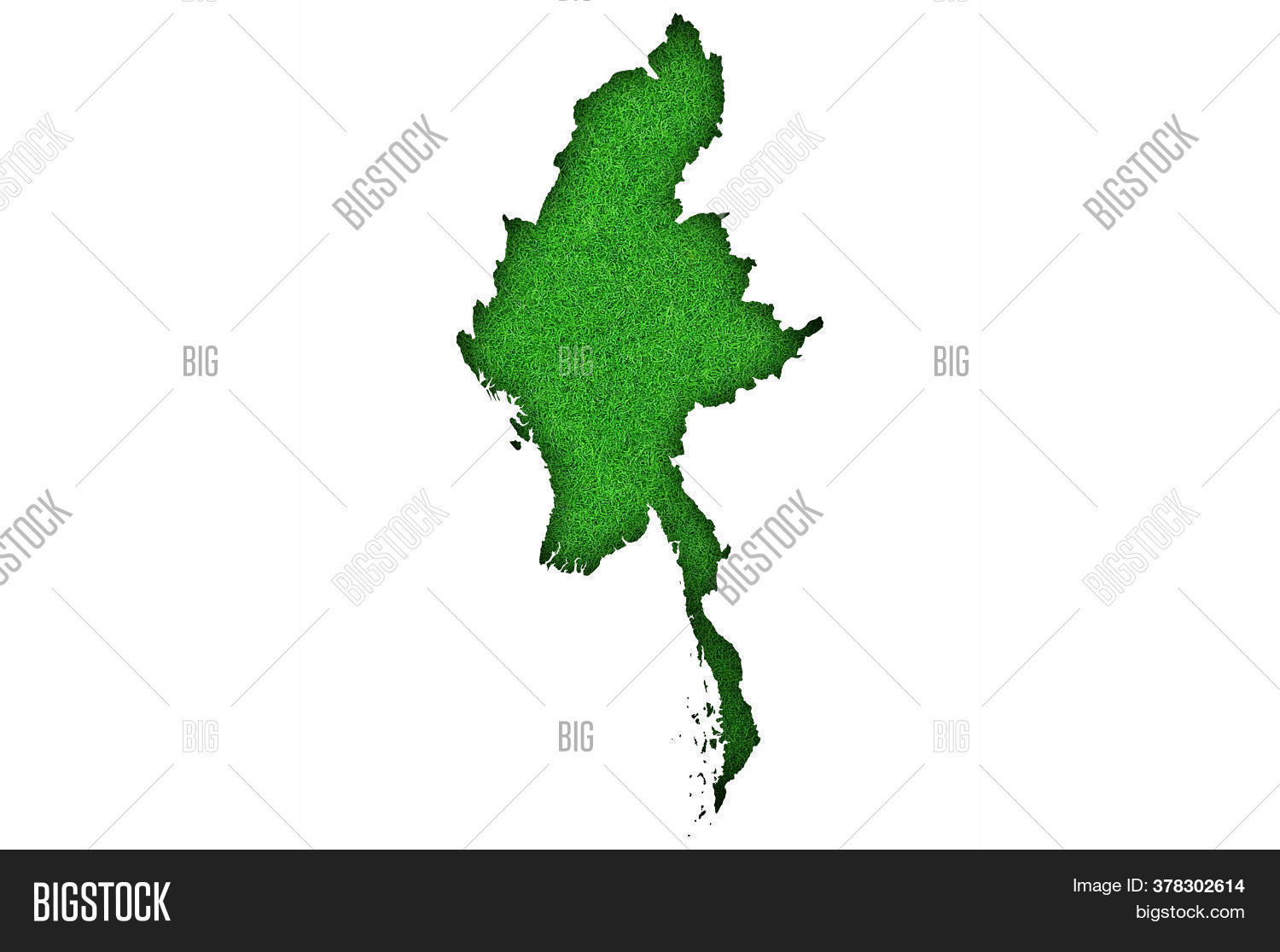 Detailed Colorful Image & Photo (Free Trial) | Bigstock