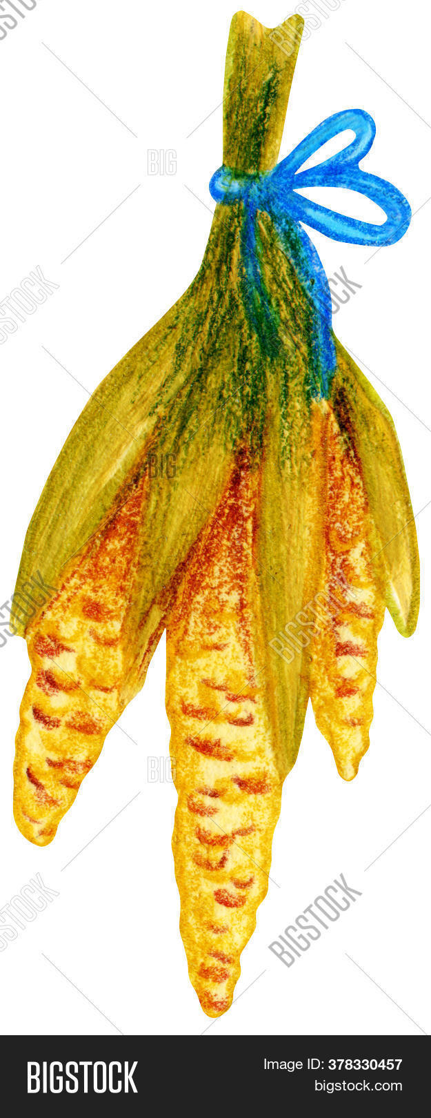 Three Yellow Corn. Image & Photo (Free Trial) | Bigstock