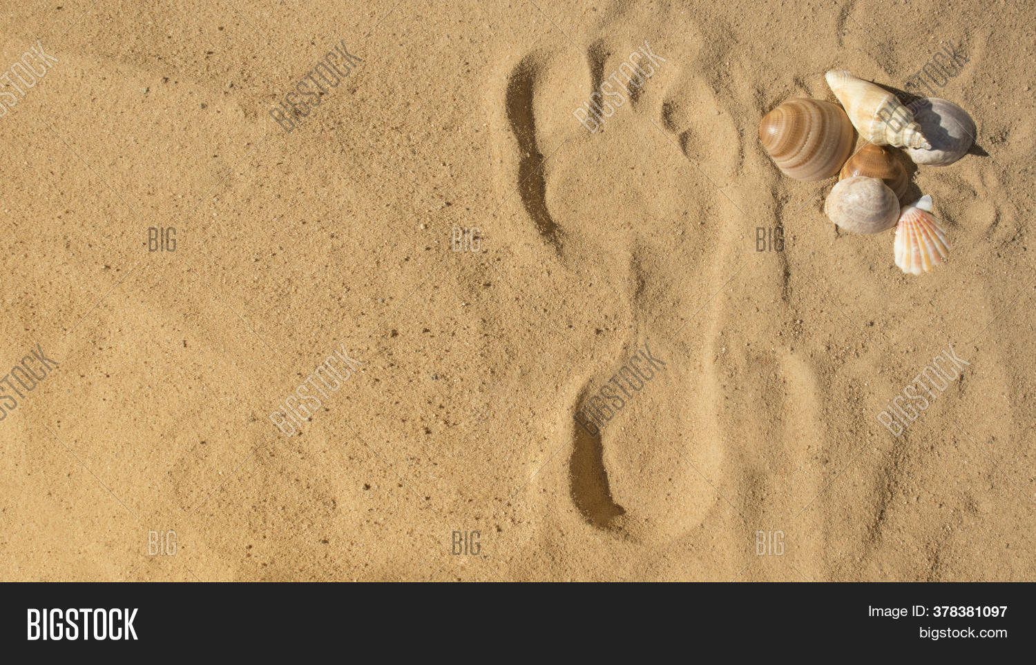 Footprint Woman's Bare Image & Photo (Free Trial) | Bigstock