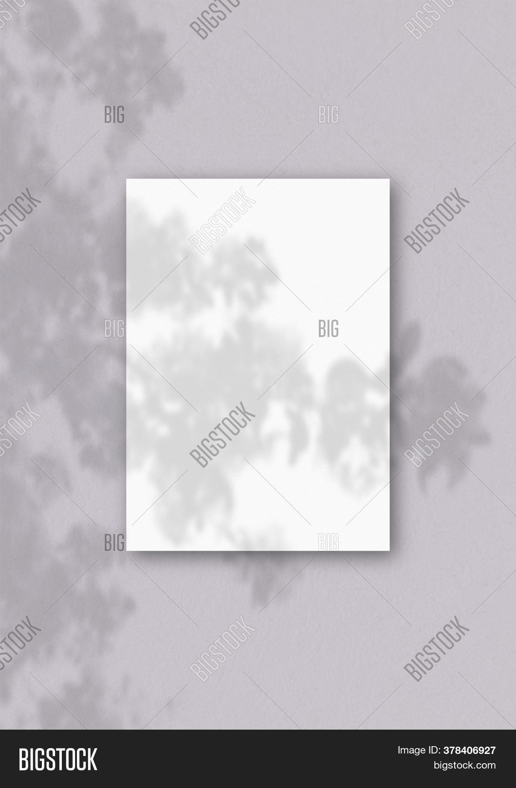 Vertical Sheet White Image & Photo (Free Trial) | Bigstock