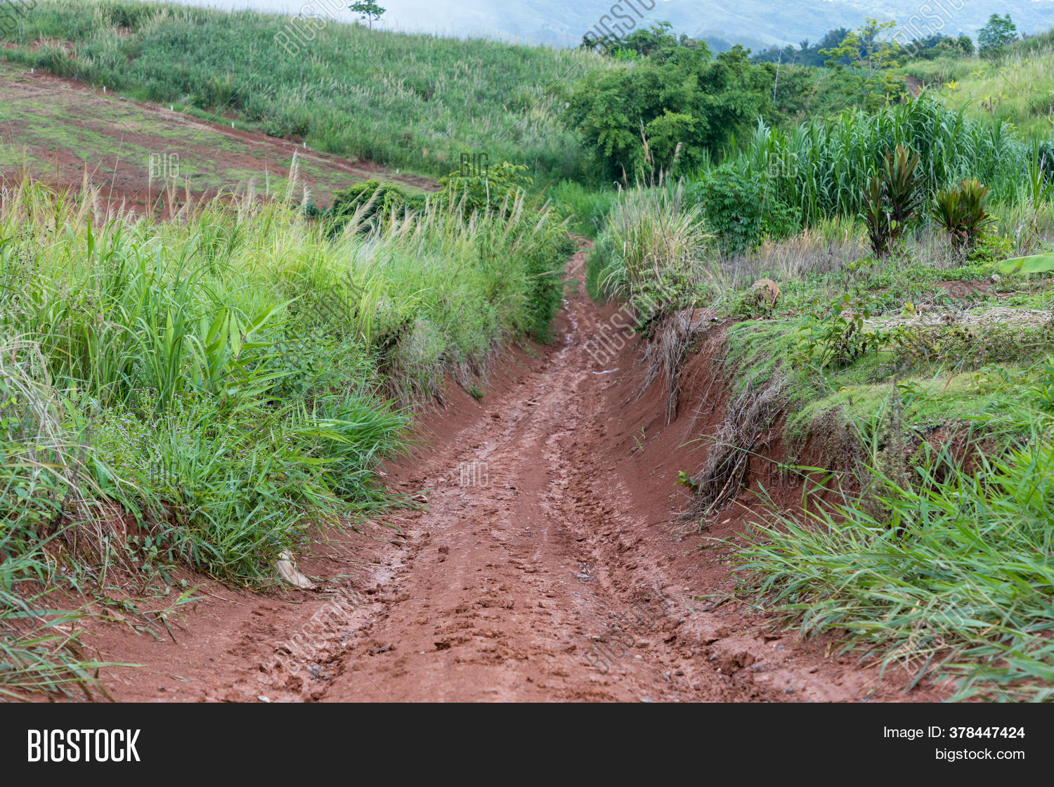 Muddy Road Adventure Image & Photo (Free Trial) | Bigstock