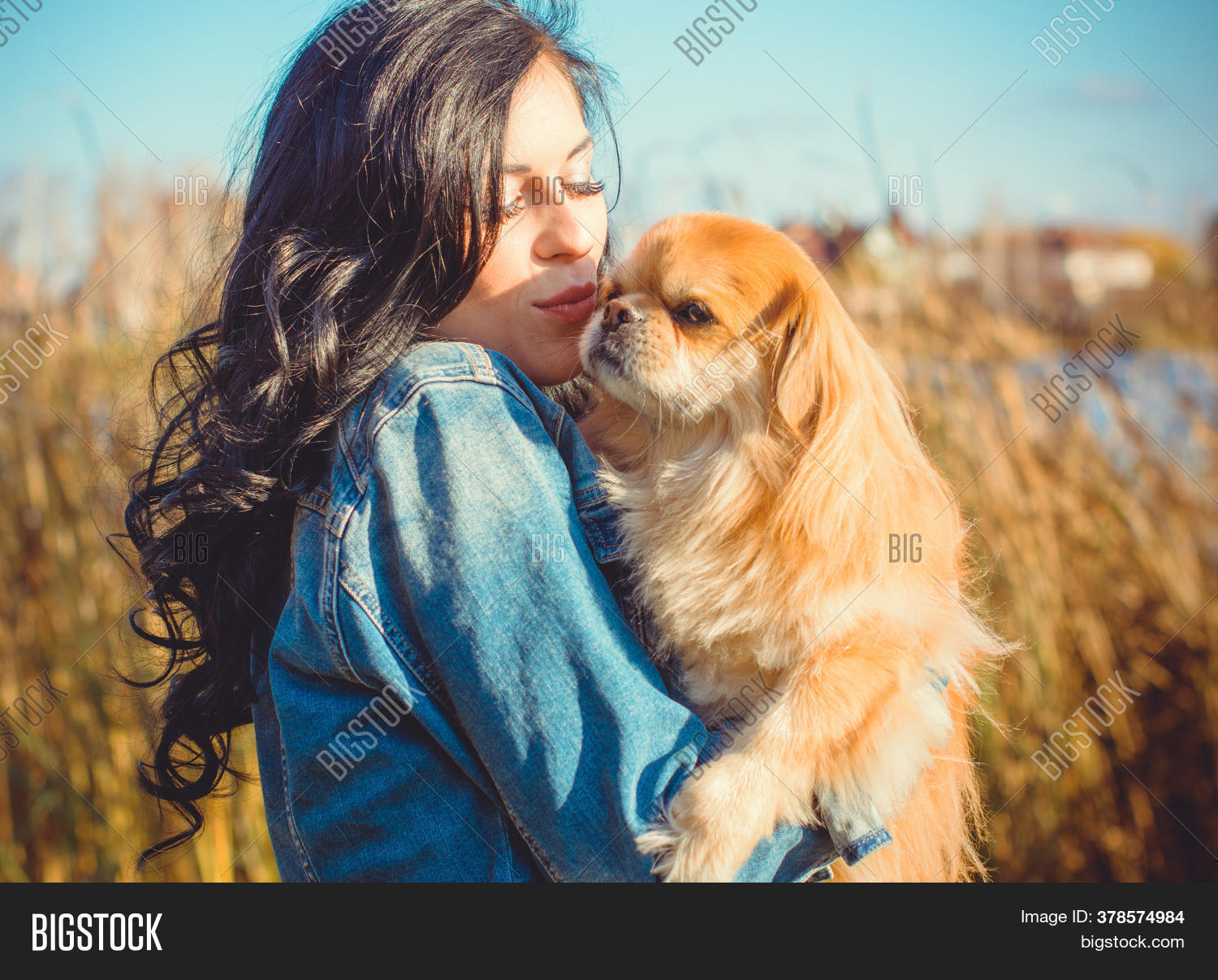 Walk Young Woman Dog Image & Photo (Free Trial) | Bigstock