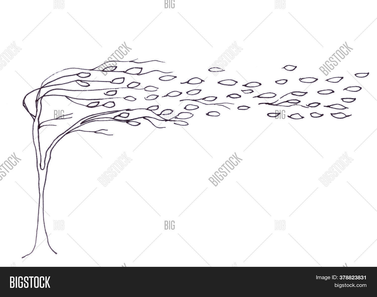 Autumn Tree Wind Image & Photo (Free Trial) | Bigstock