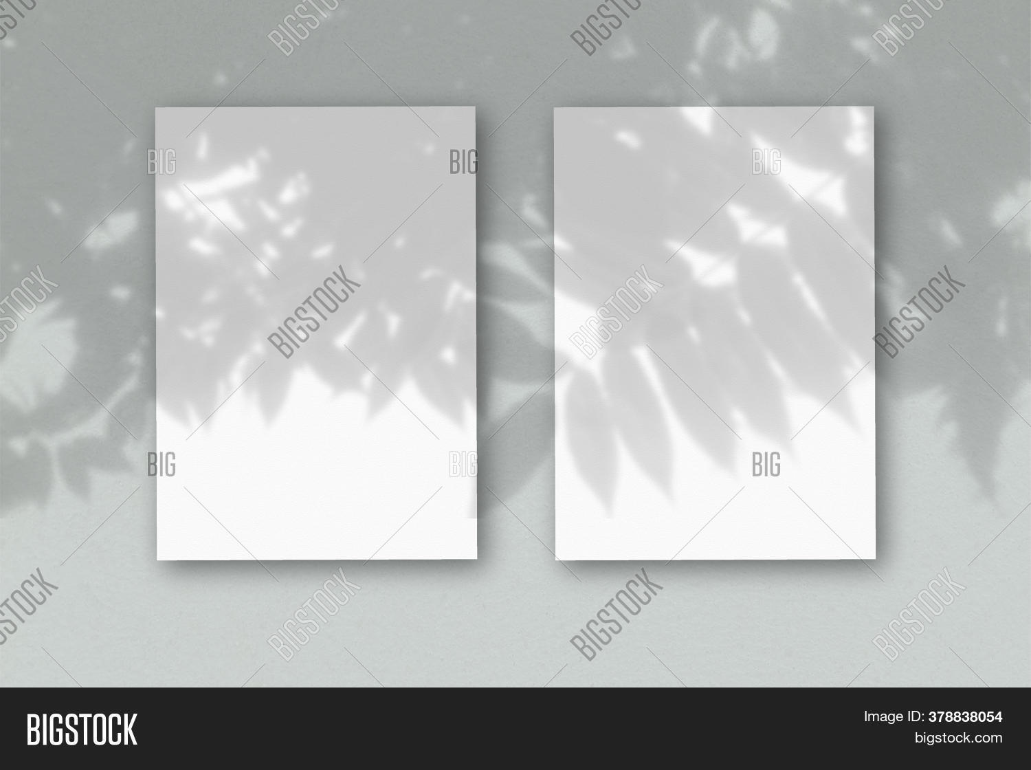 2 Vertical Sheets Image & Photo (Free Trial) | Bigstock
