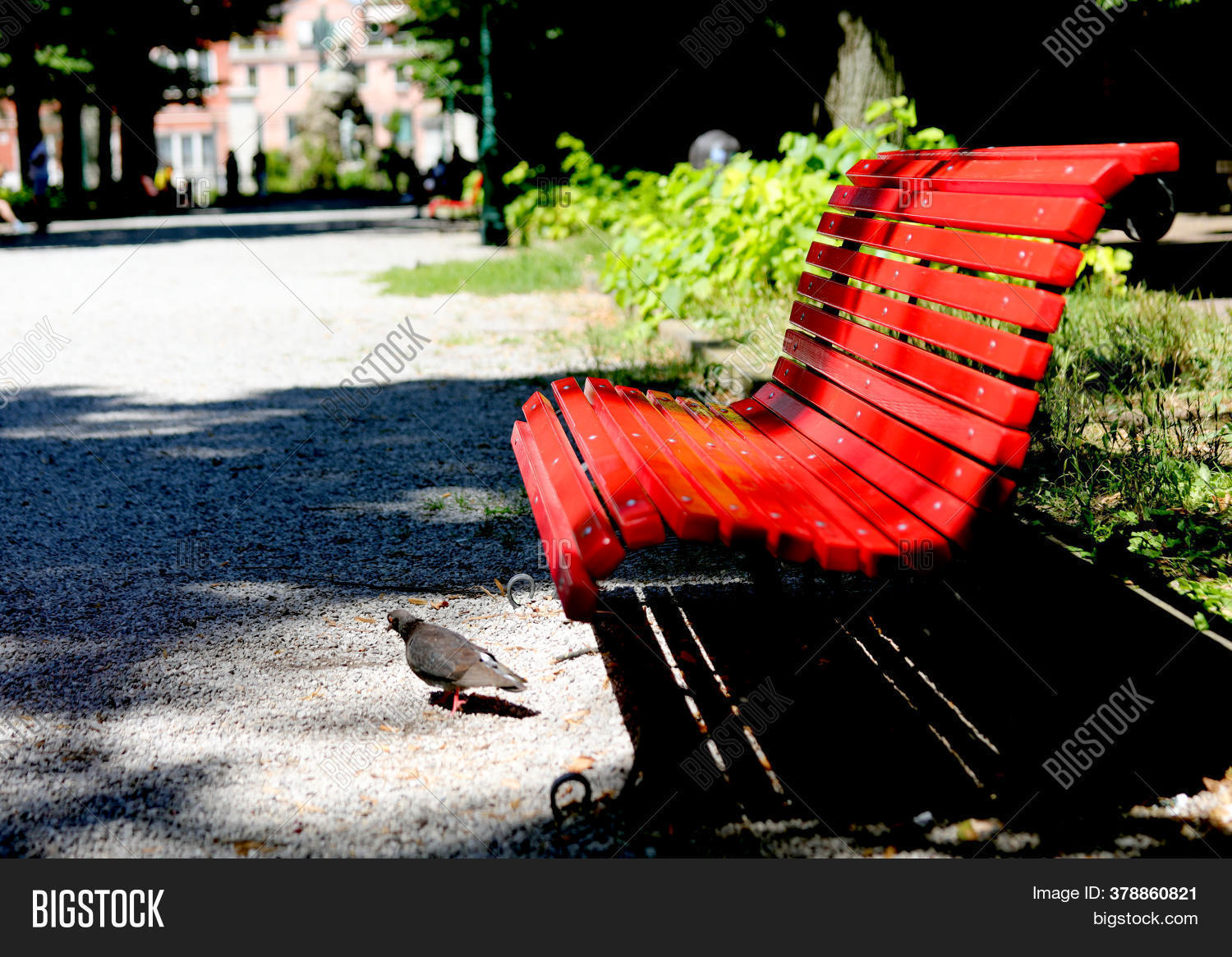 Red Bench Public Park Image & Photo (Free Trial) | Bigstock