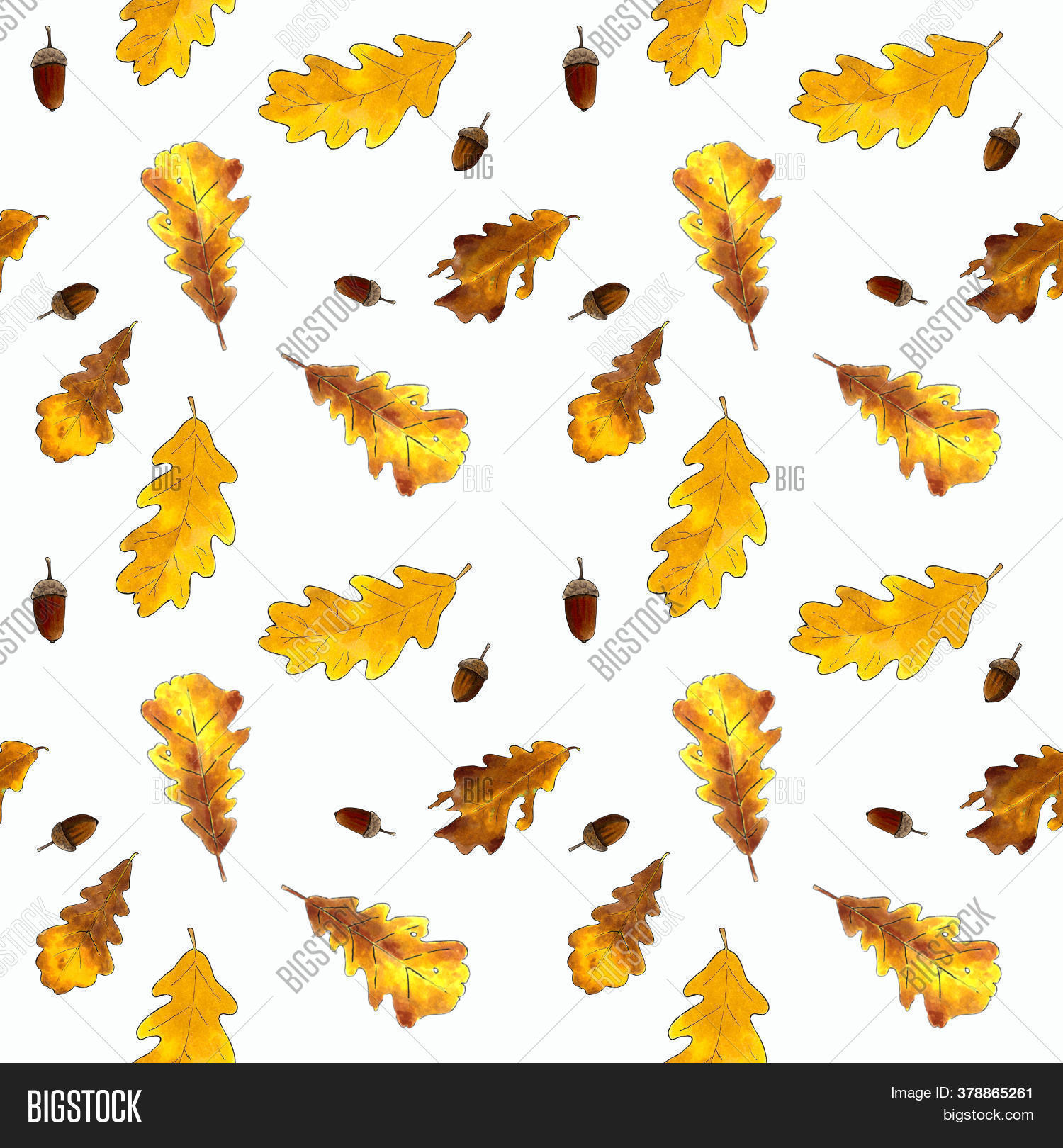 Seamless Pattern Oak Image & Photo (Free Trial) | Bigstock