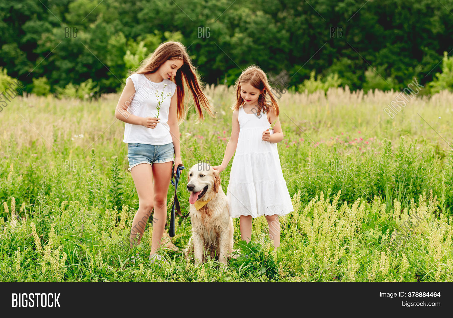 Happy Sisters Cute Dog Image & Photo (Free Trial) | Bigstock