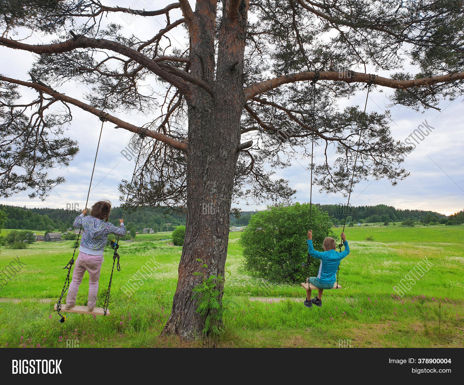 Children On Swing Tree Image & Photo (Free Trial) | Bigstock