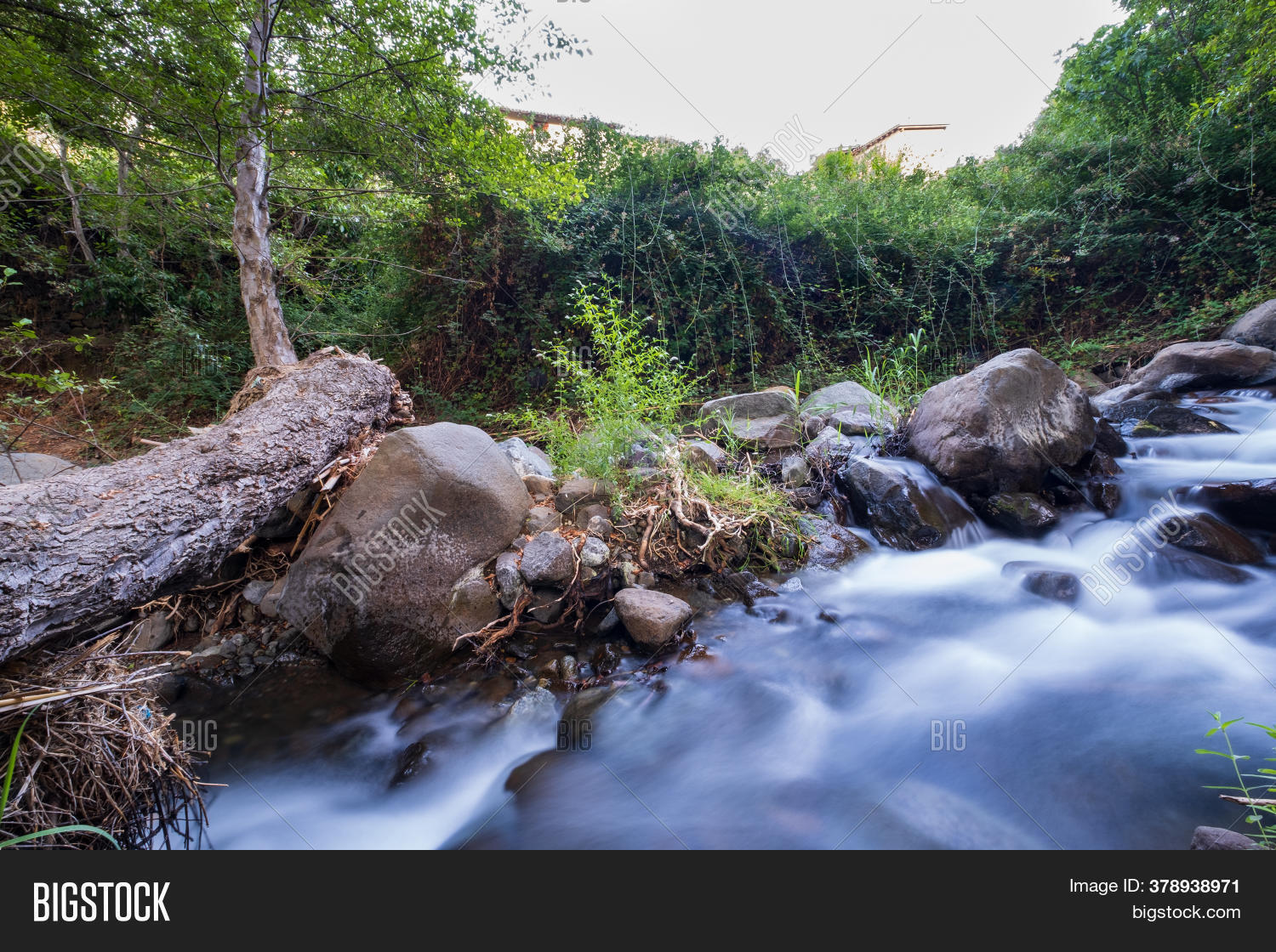 Pure Water Stream Image & Photo (Free Trial) | Bigstock