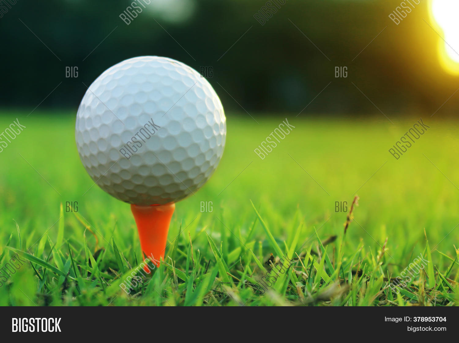 Golf Ball On Tee Image & Photo (Free Trial) | Bigstock