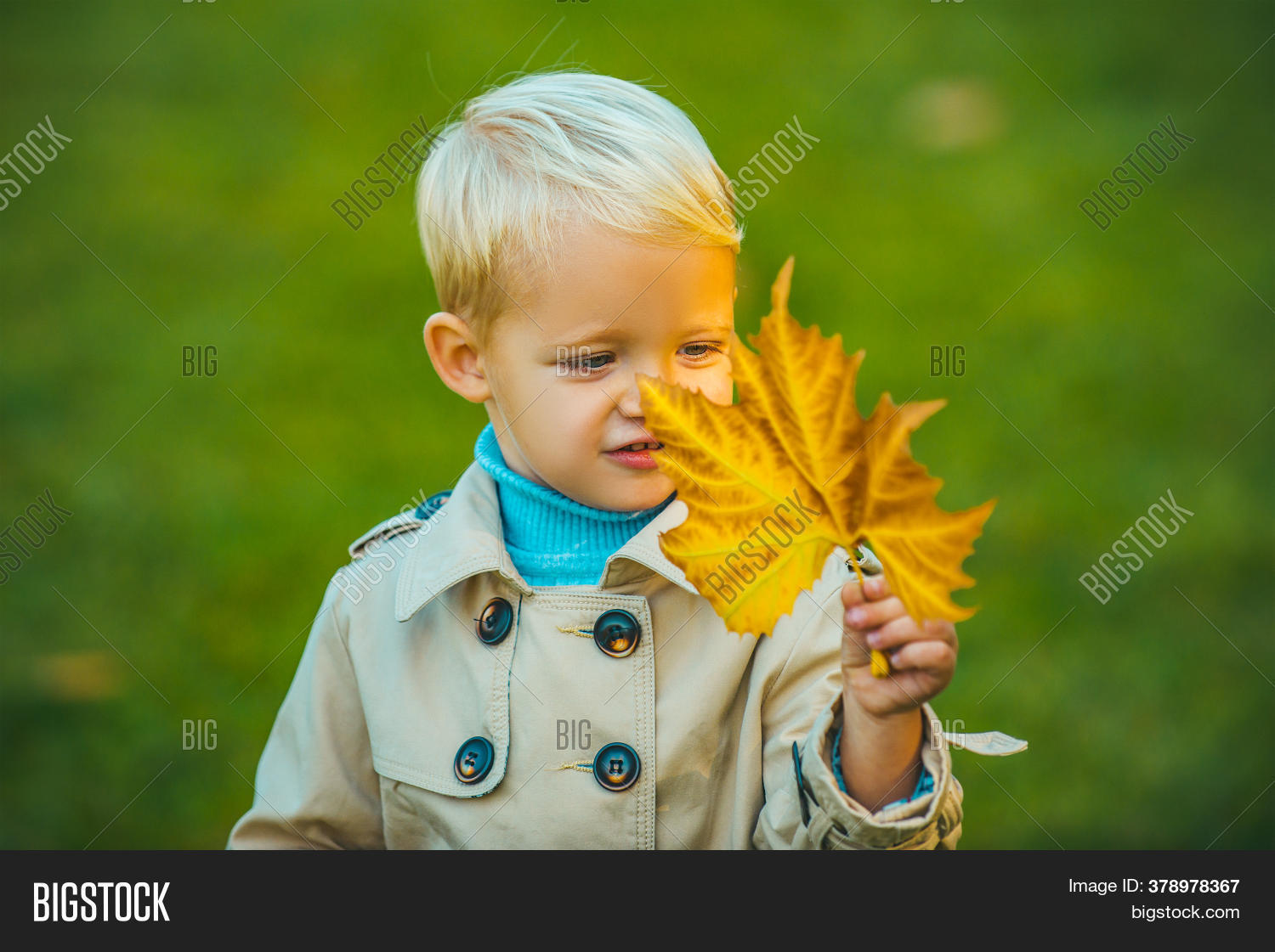 Child Yellow Leaf Image & Photo (Free Trial) | Bigstock